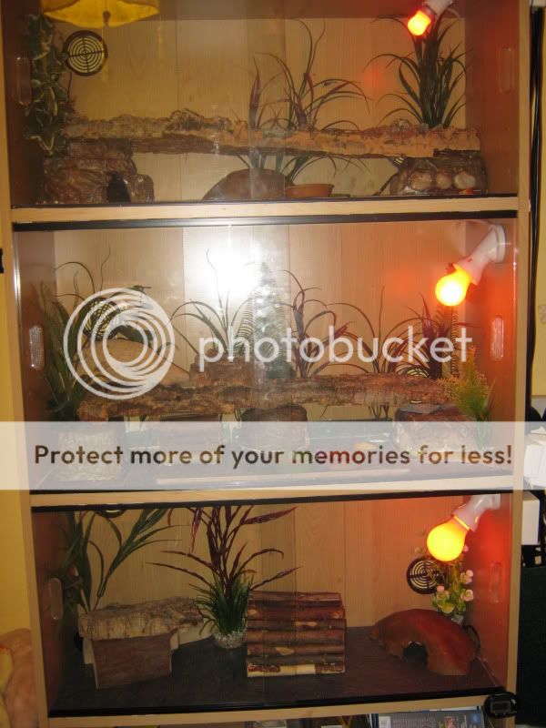 leopard gecko viv stack question | Reptile Forums