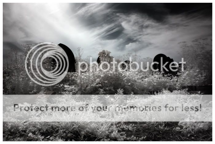 stones and tree (old IR wratten 87 filter) | The Photography Forum