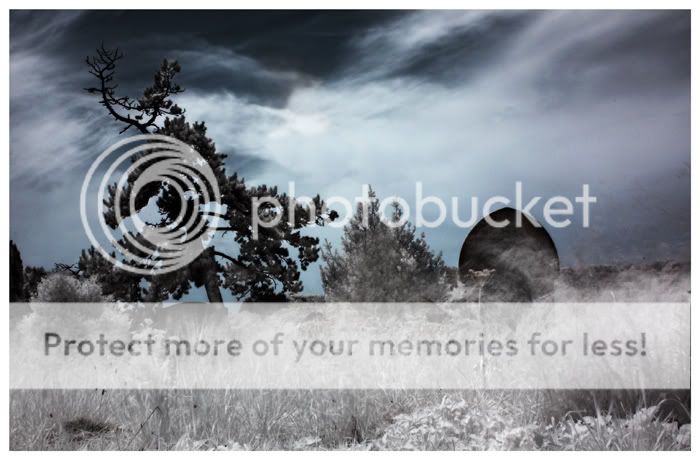 stones and tree (old IR wratten 87 filter) | The Photography Forum