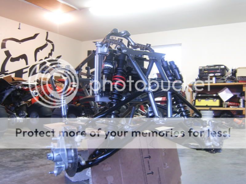 Frame Colors!?!? | Honda TRX 450R