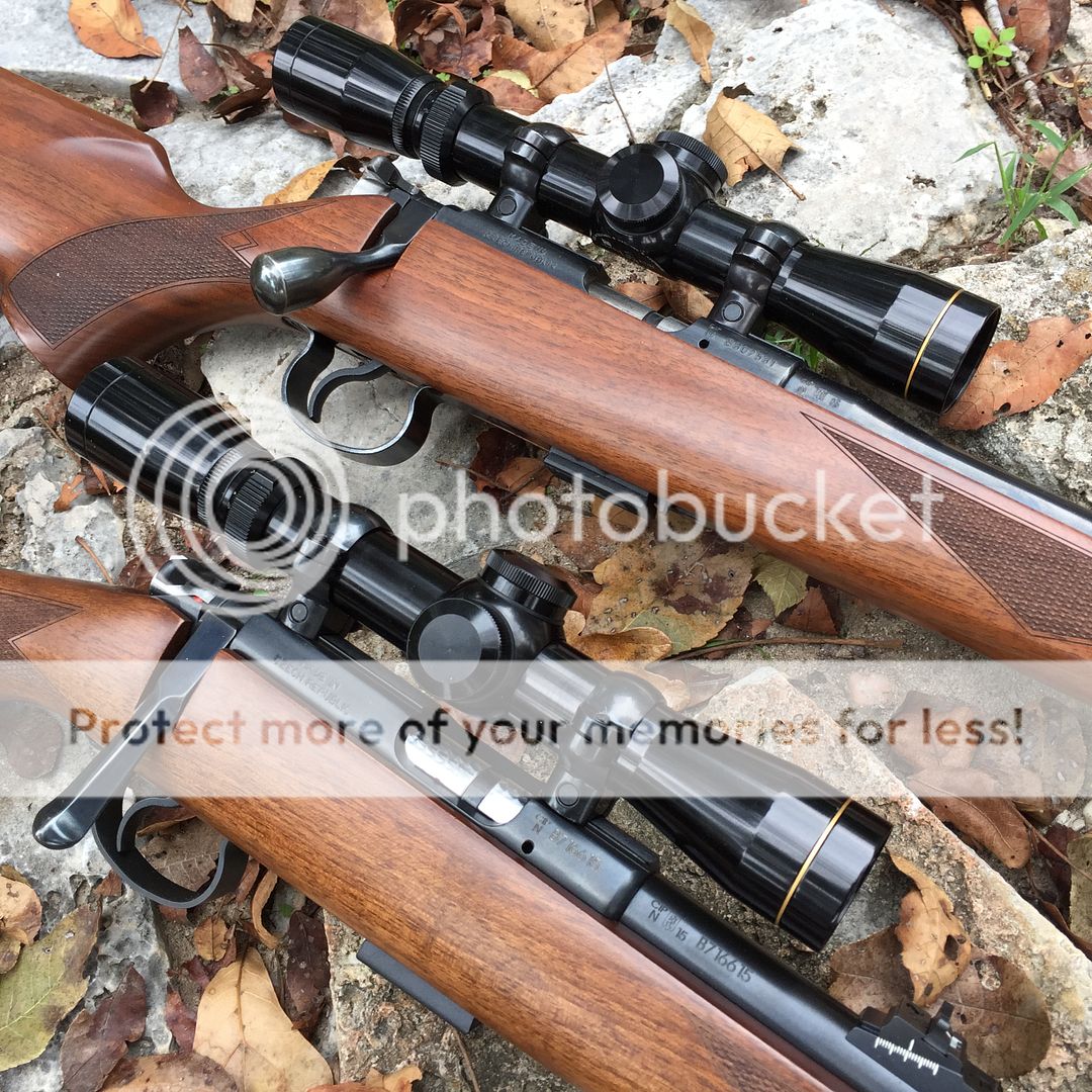 CZ 455 American | Rimfire Central Firearm Forum