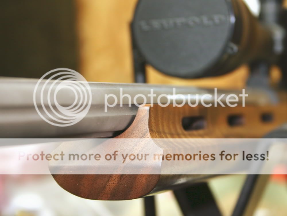 fore-end profile | Rimfire Central Firearm Forum