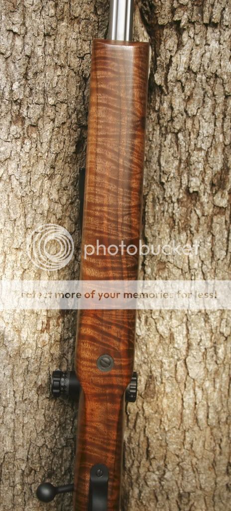 fore-end profile | Rimfire Central Firearm Forum