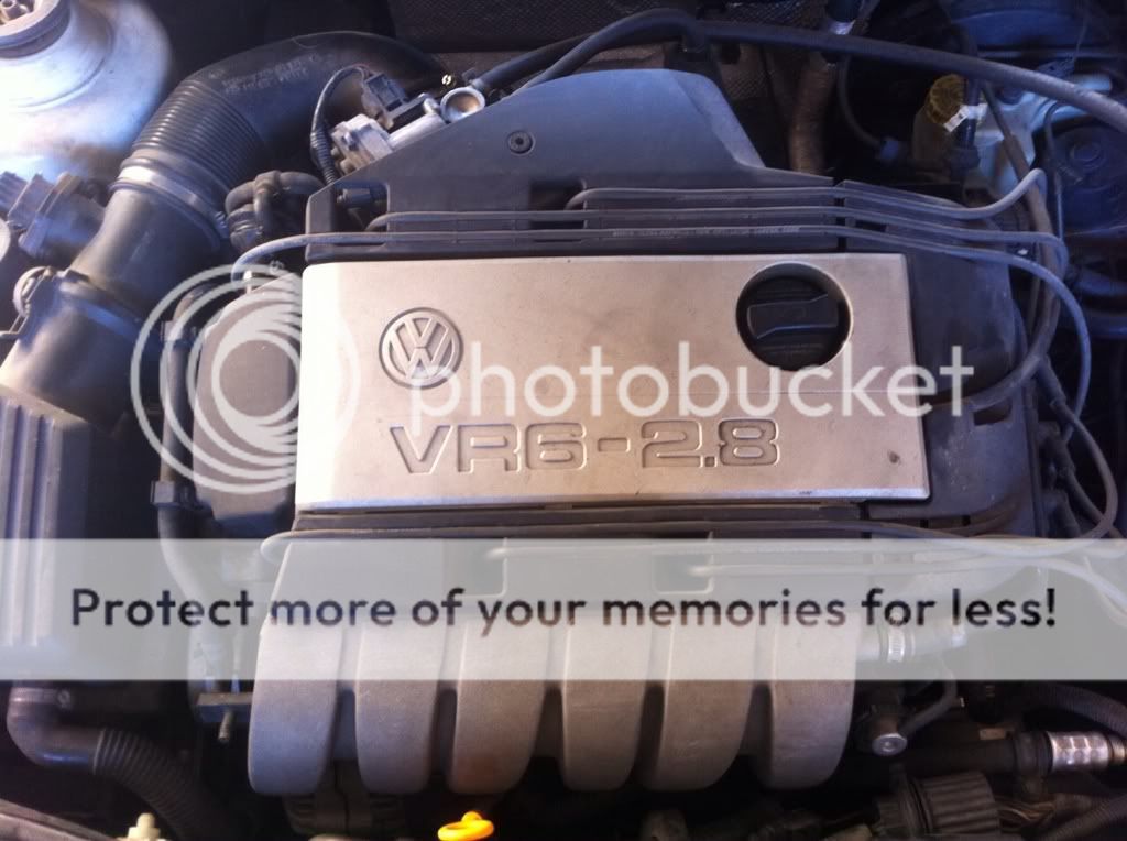 98 jetta glx | VW Vortex - Volkswagen Forum