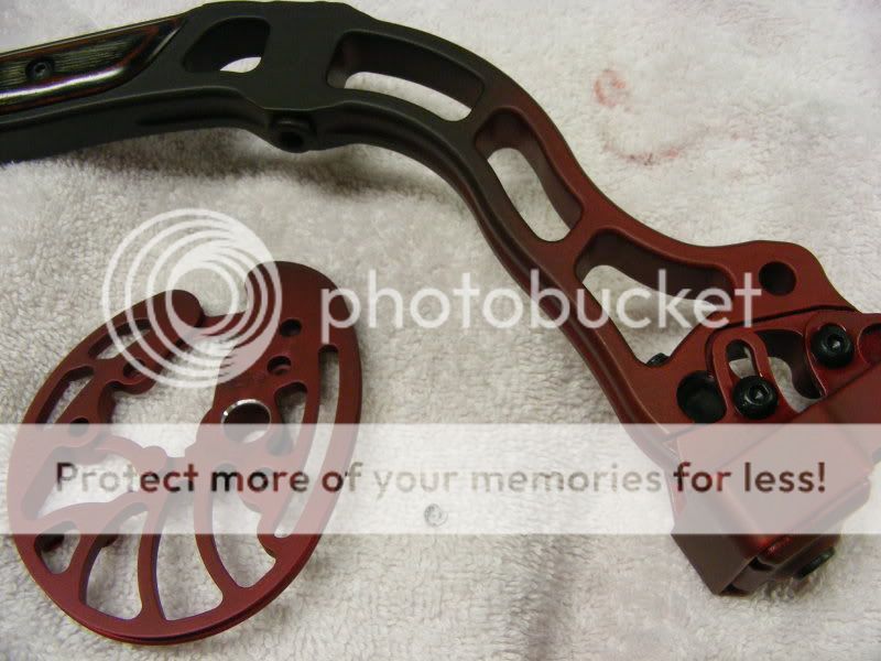 Spray paint a bow? | Archery Talk Forum