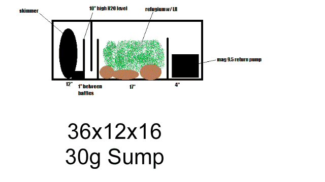 Rough DIY Sump sketch | MonsterFishKeepers.com