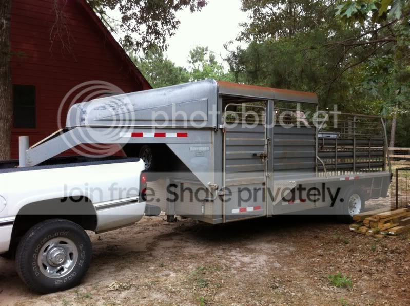 16' Cattle/Catch/1/2 Top Trailer