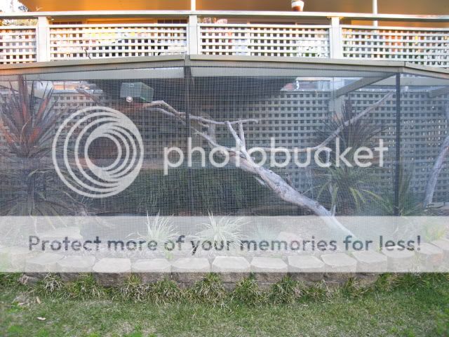 show us your outdoor cages | Page 2 | Aussie Pythons & Snakes Forum
