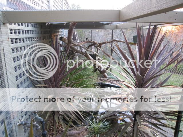 show us your outdoor cages | Page 2 | Aussie Pythons & Snakes Forum